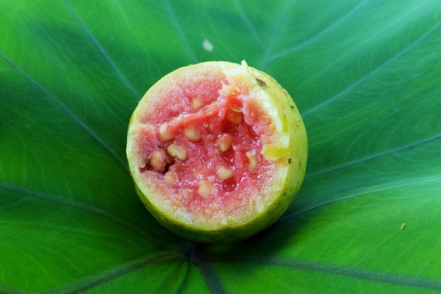 Fructe exotice | Qbebe.ro
